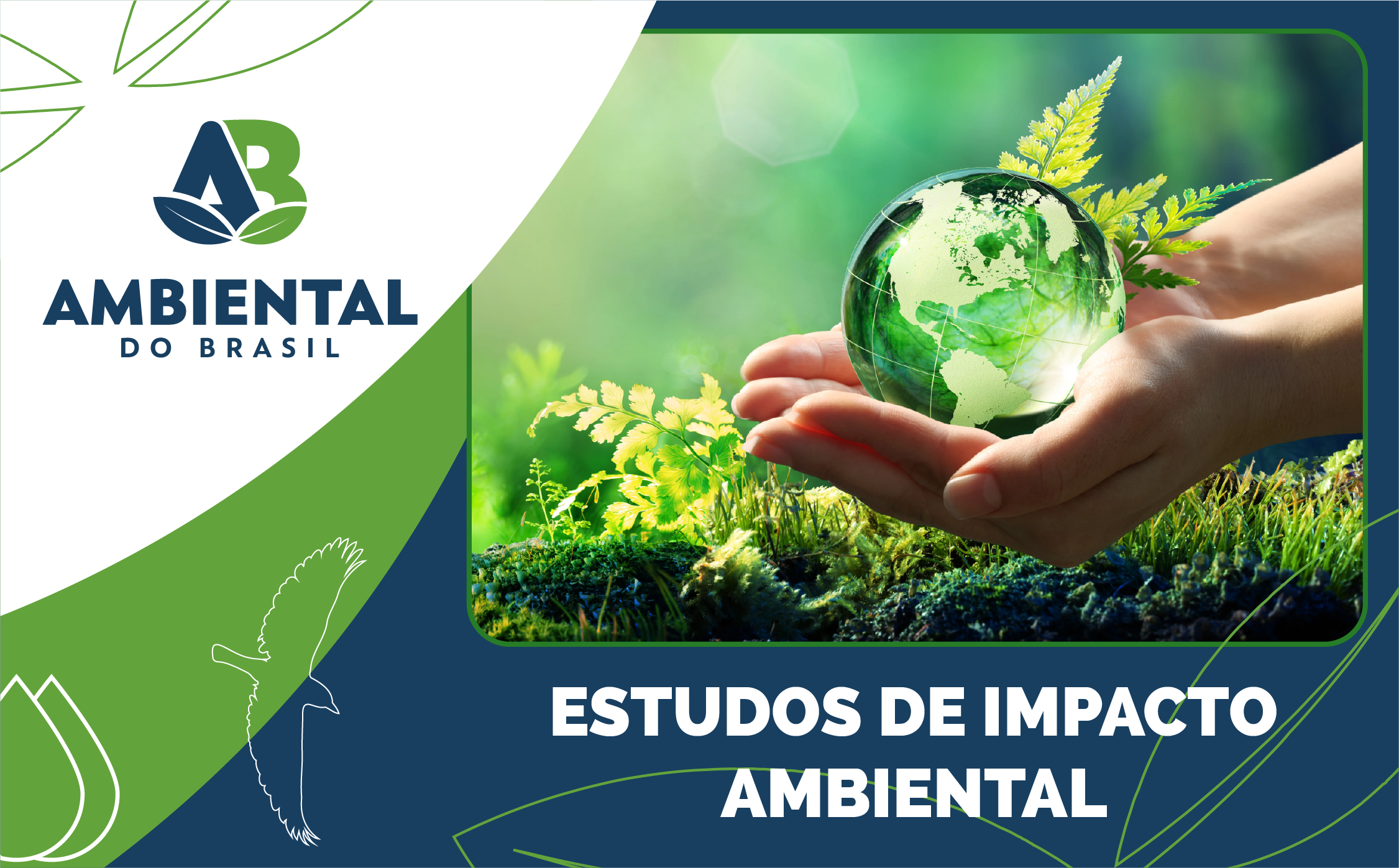 Estudos de Impacto Ambiental - Ambiental do Brasil