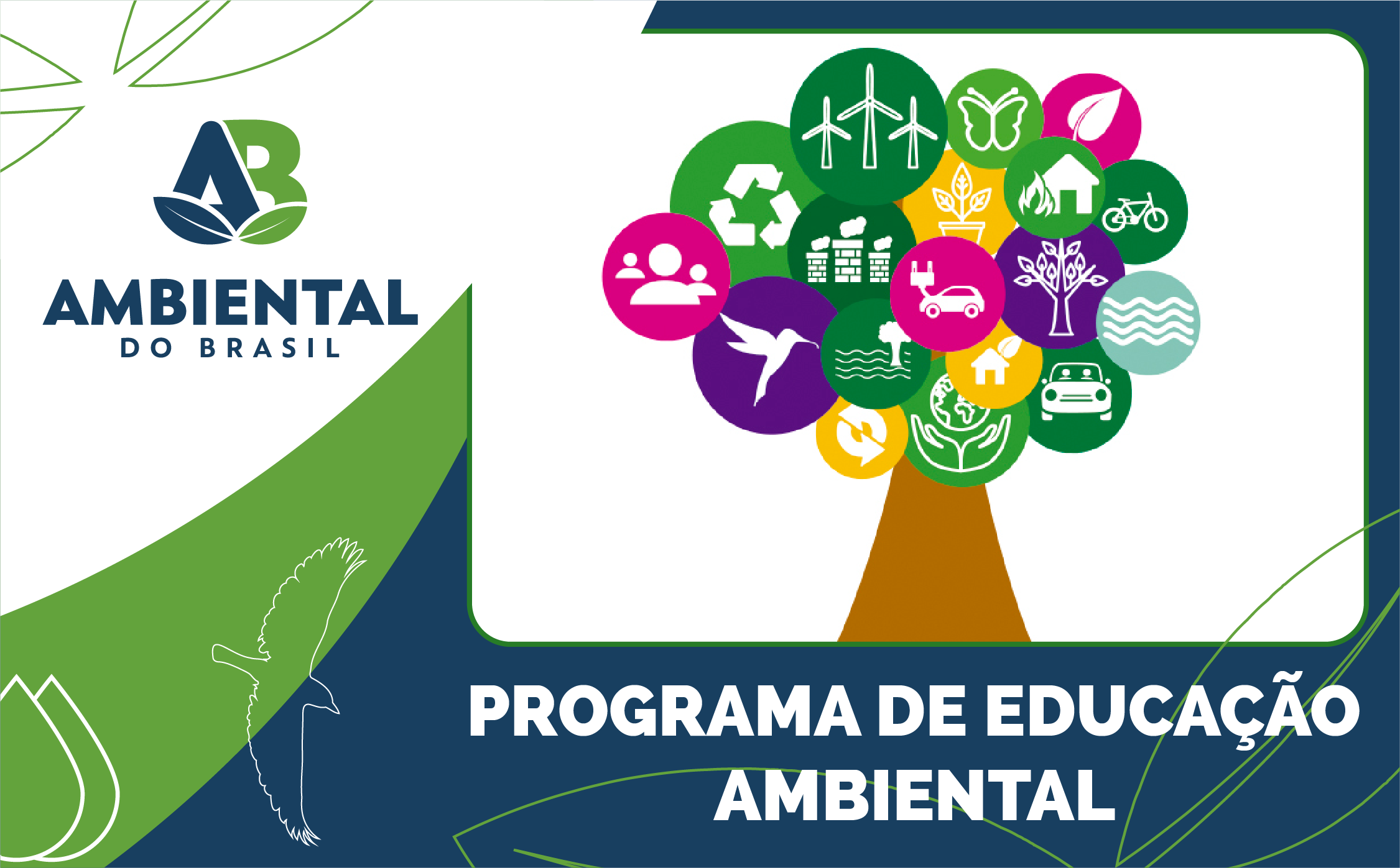 Programa De Educação Ambiental Ambiental Do Brasil